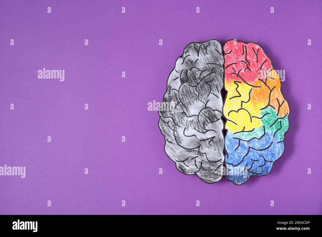 Logic and creativity. Paper brain with one colorful hemisphere and ...