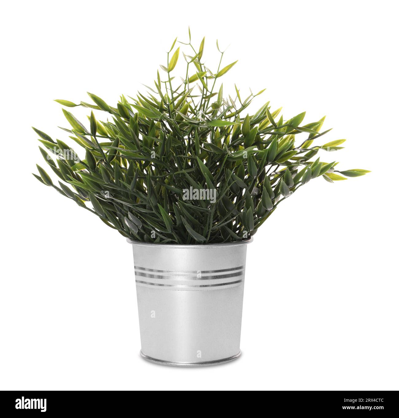 Interior living room baby Cut Out Stock Images & Pictures - Alamy