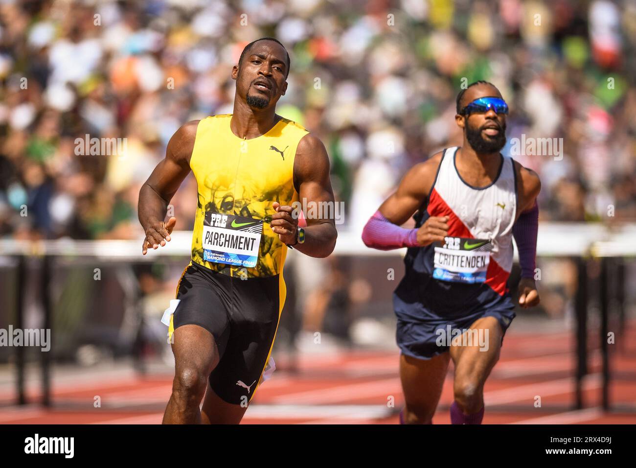 Hansle parchment 2023 hi-res stock photography and images - Alamy