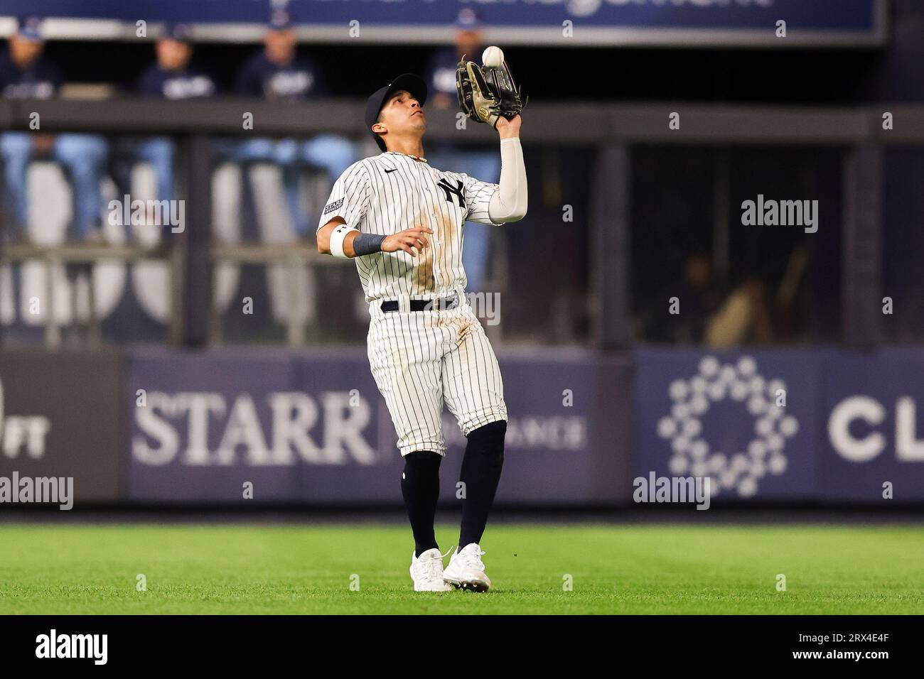 BRONX, NY - SEPTEMBER 20: New York Yankees Outfield Oswaldo Cabrera (95 ...