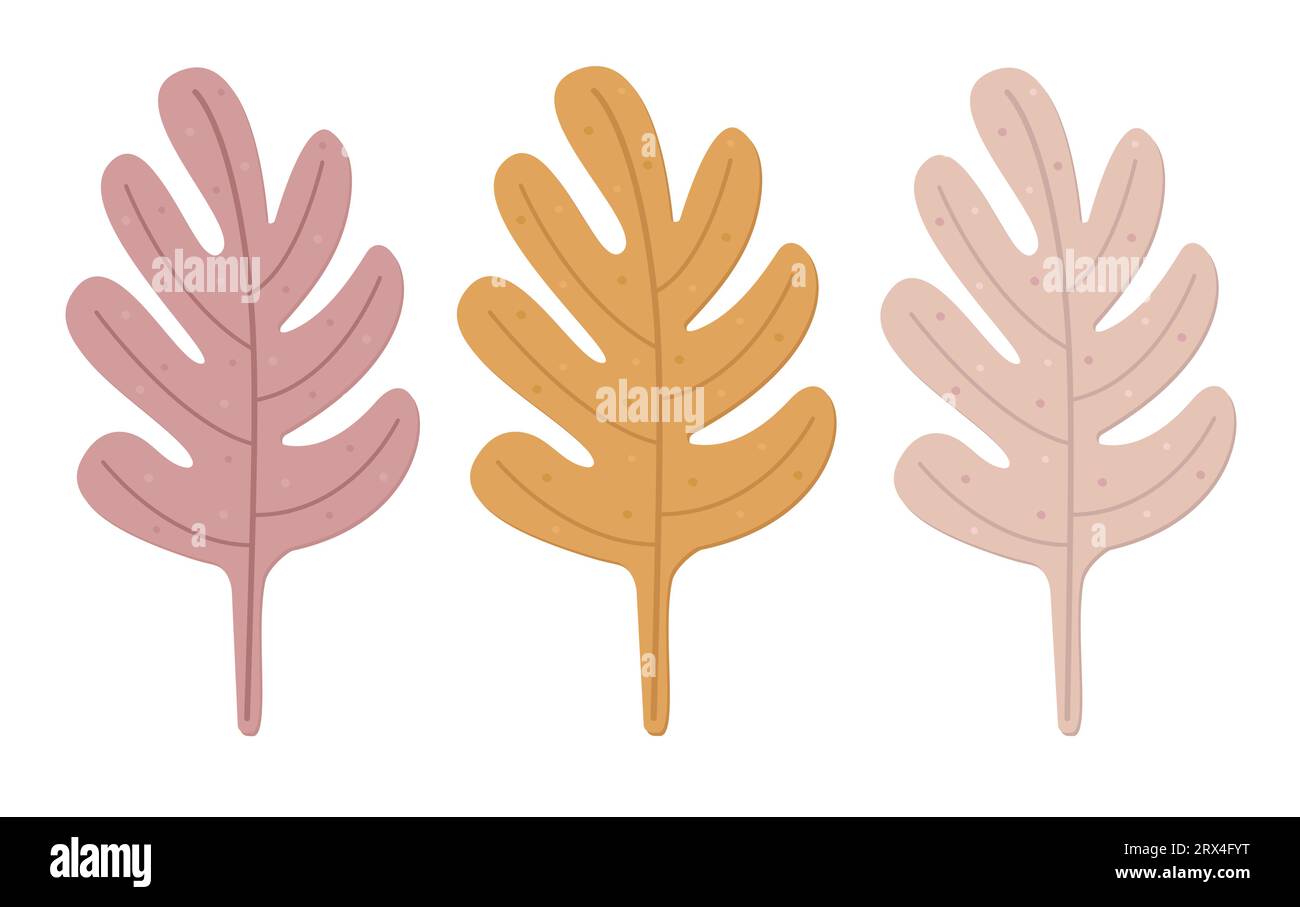 Three autumn leaves, fall foliage, color vector illustration set in ...
