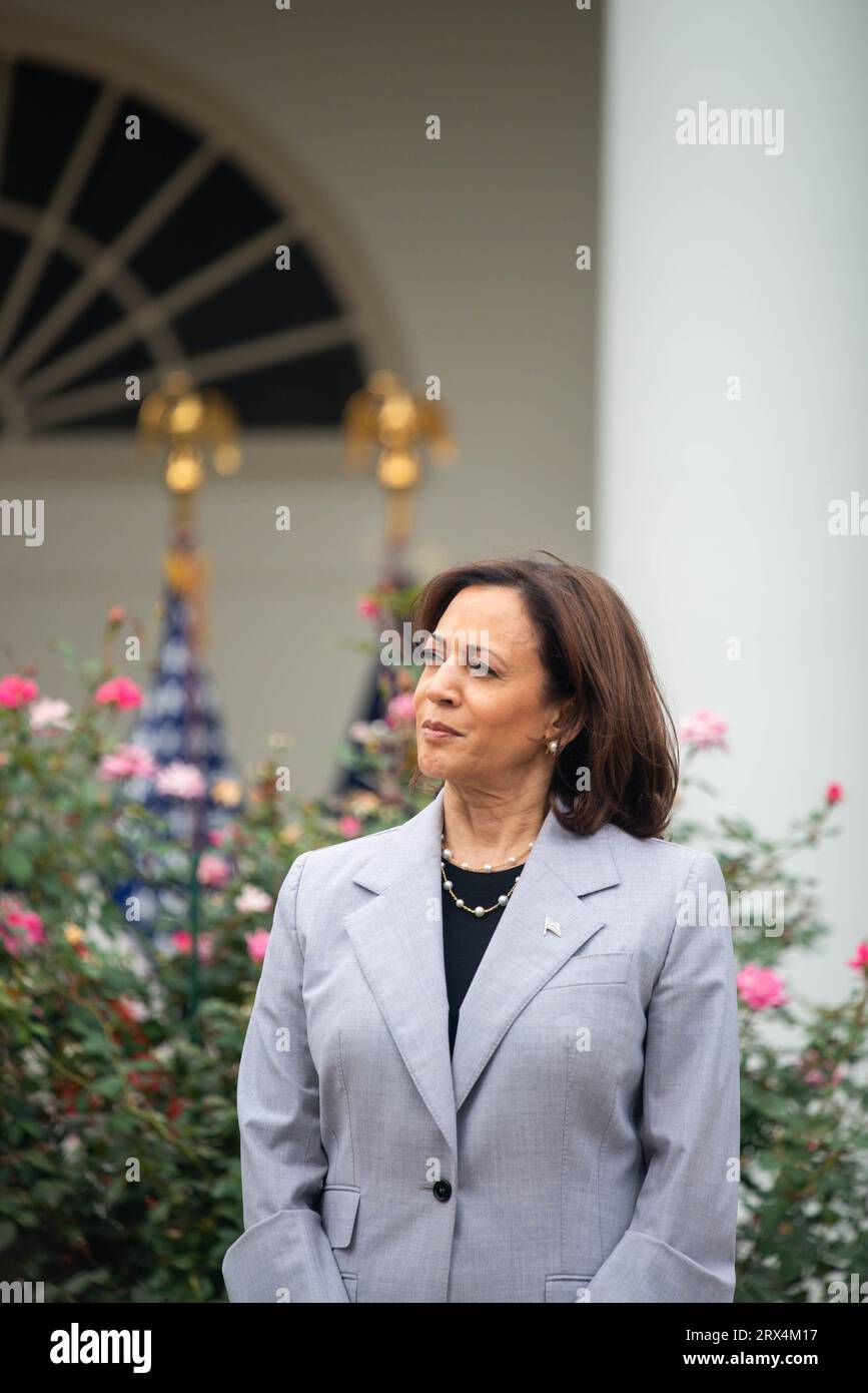 United States Vice President Kamala Harris speaks in the White House ...