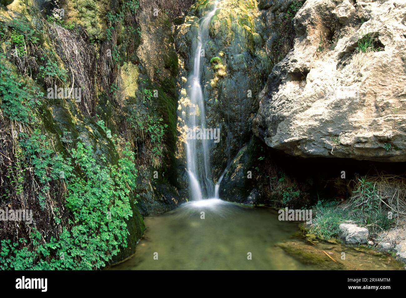 Sitting Bull Falls Pictures