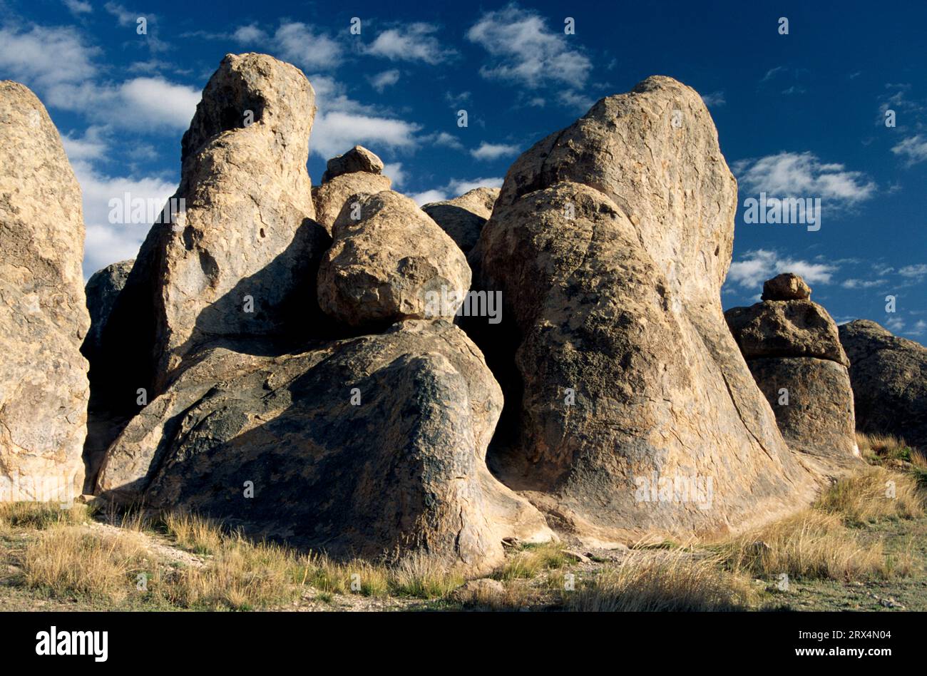 Rock outcrop, City of Rocks State Park, New Mexico Stock Photo - Alamy