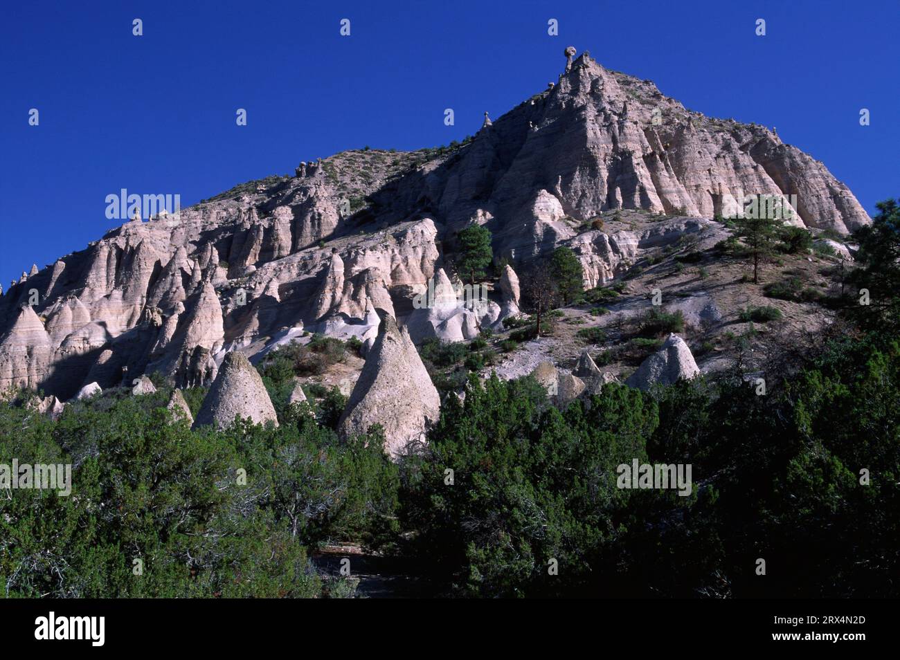 Katuwa hi-res stock photography and images - Alamy