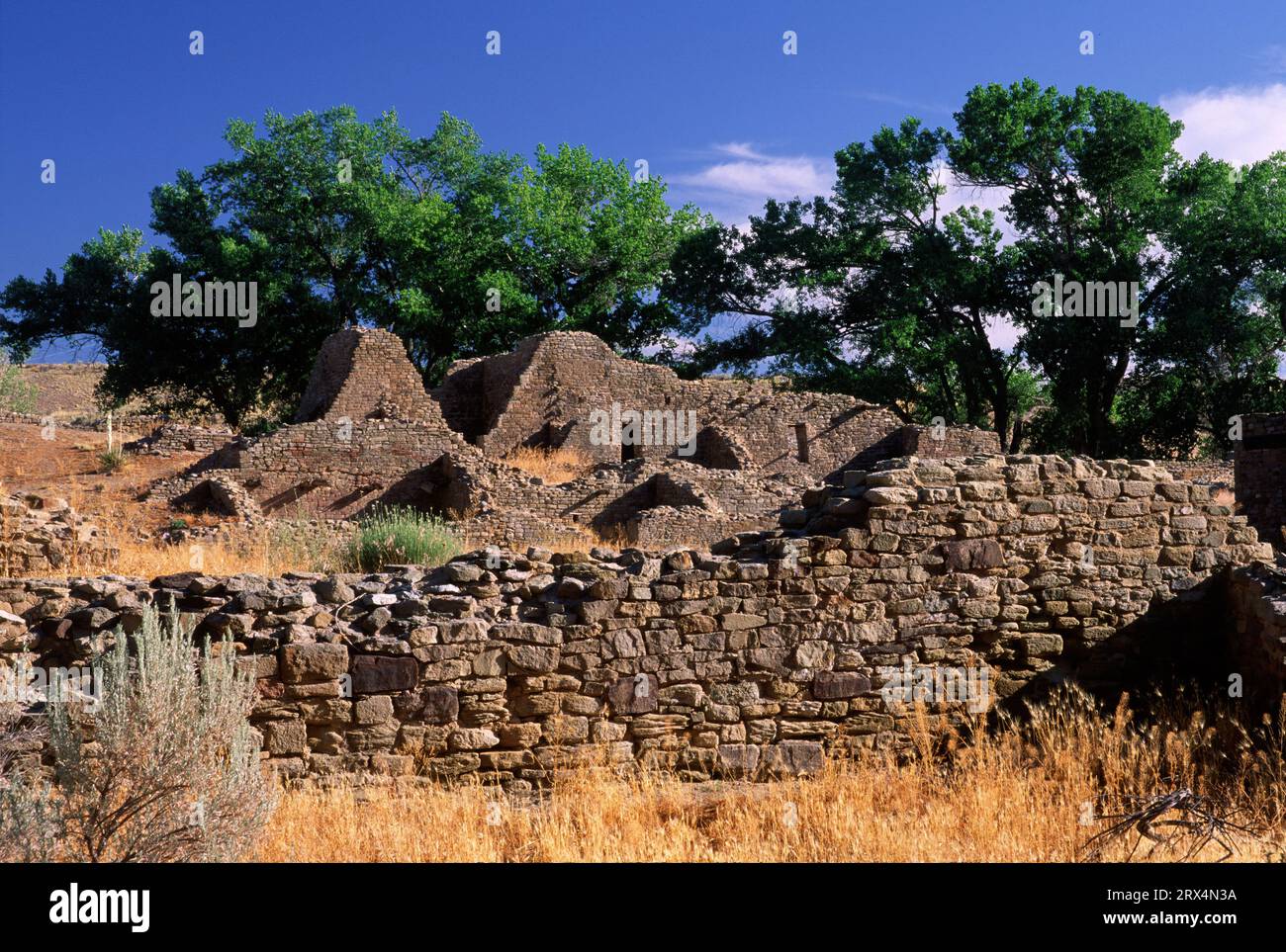 Hi Country Aztec Nm
