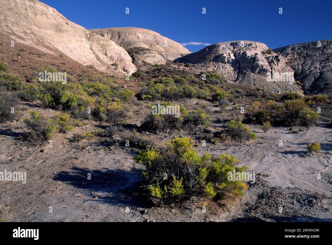 Virgin Valley outcrop near Dufurrena, Sheldon National Wildlife Refuge ...