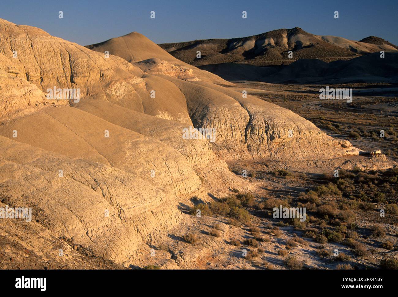 Virgin Valley outcrop near Dufurrena, Sheldon National Wildlife Refuge ...