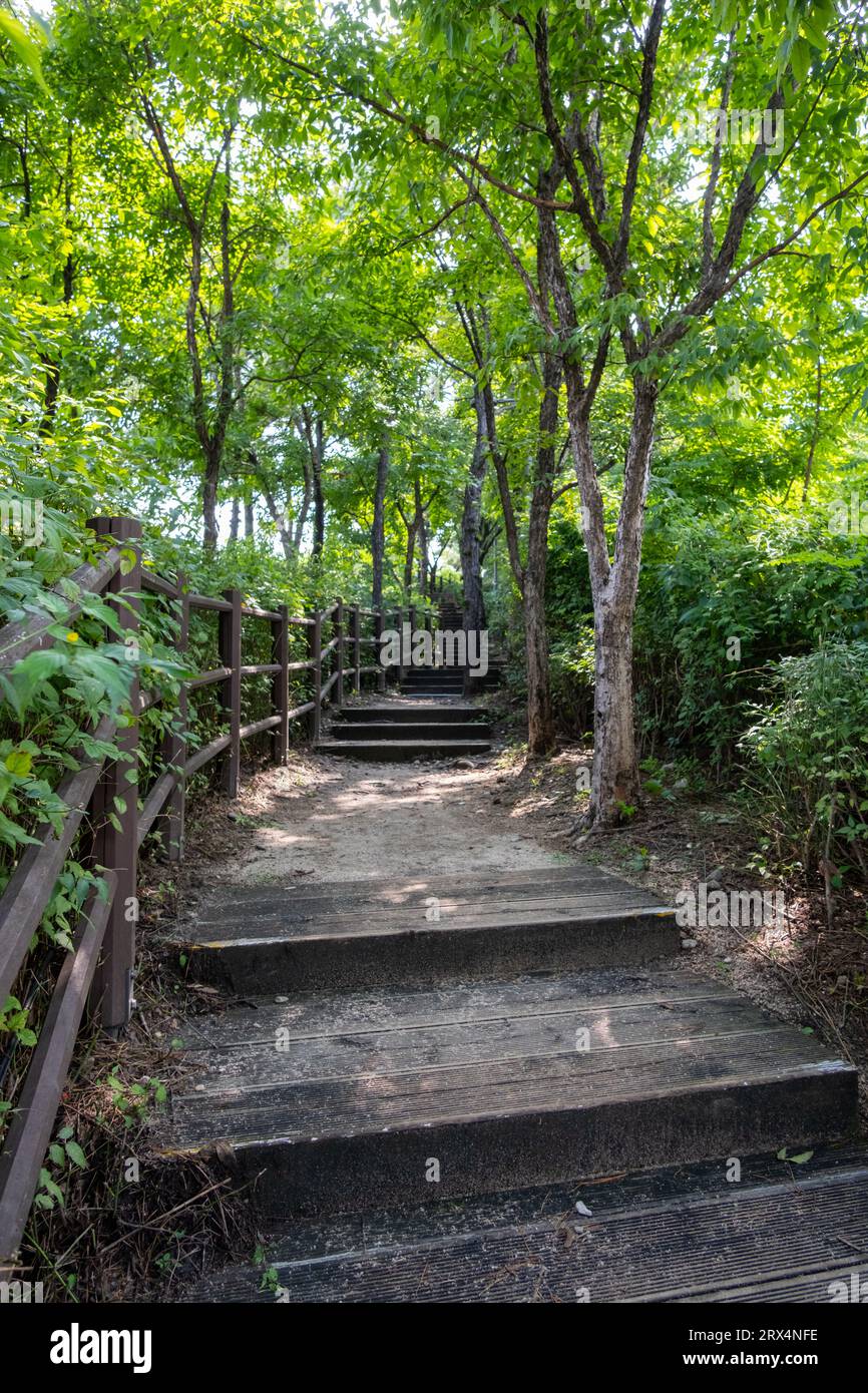 Seoul sky bridge walk hi-res stock photography and images - Alamy
