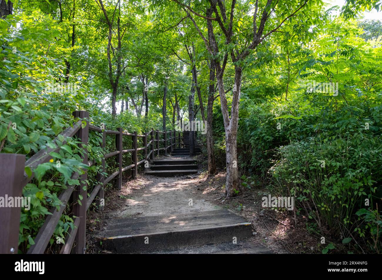 Seoul sky bridge walk hi-res stock photography and images - Alamy