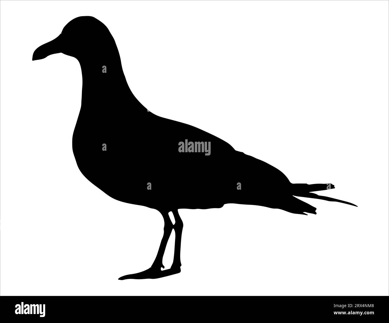 Albatross silhouette vector art white background Stock Vector Image ...