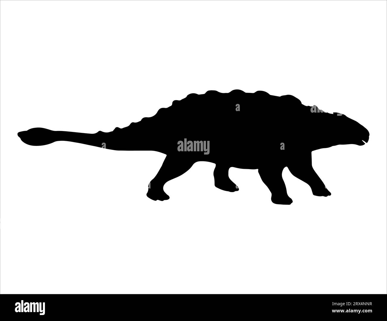 Ankylosaurus silhouette vector art white background Stock Vector Image ...