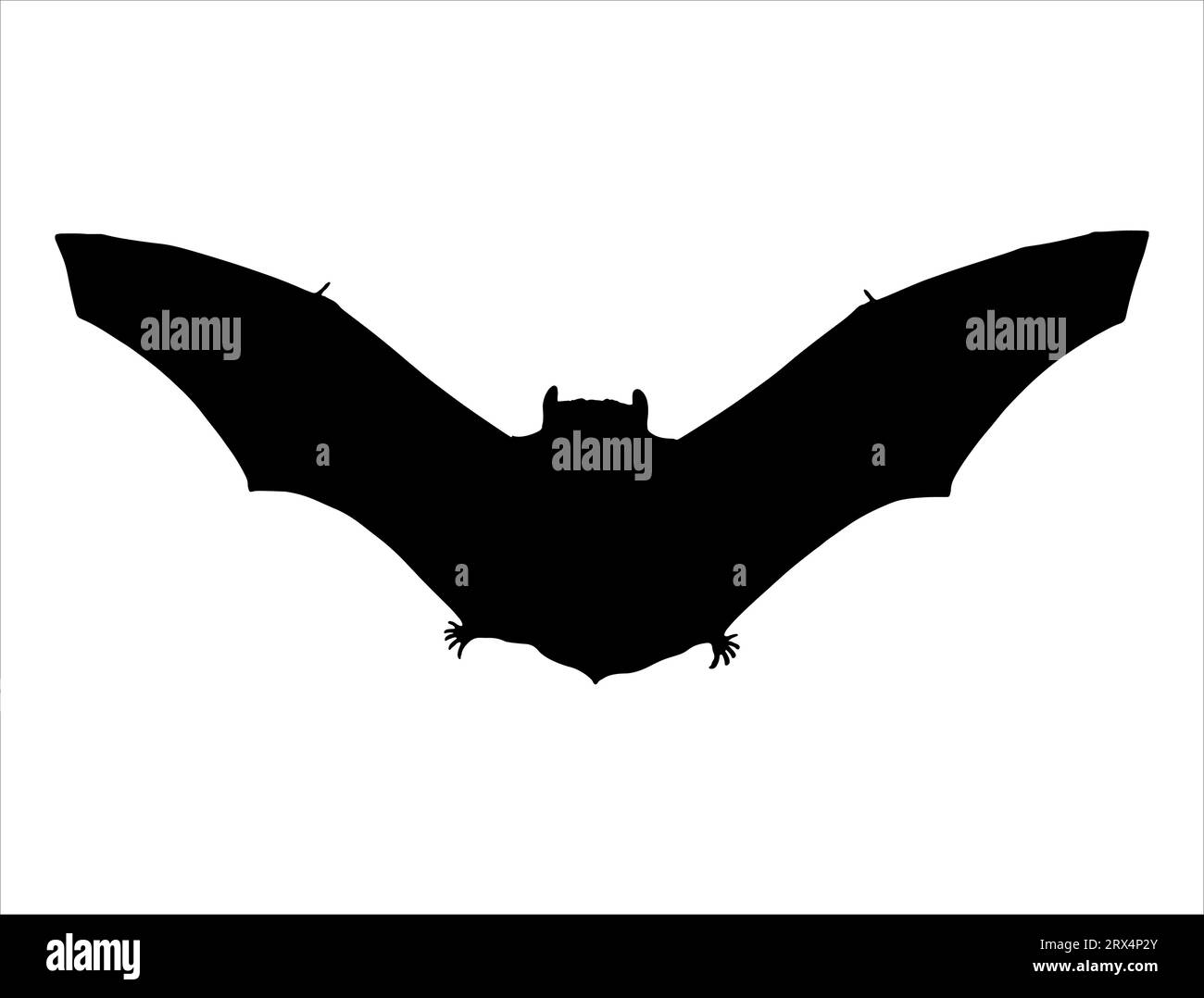 Bat silhouette vector art white background Stock Vector Image & Art - Alamy