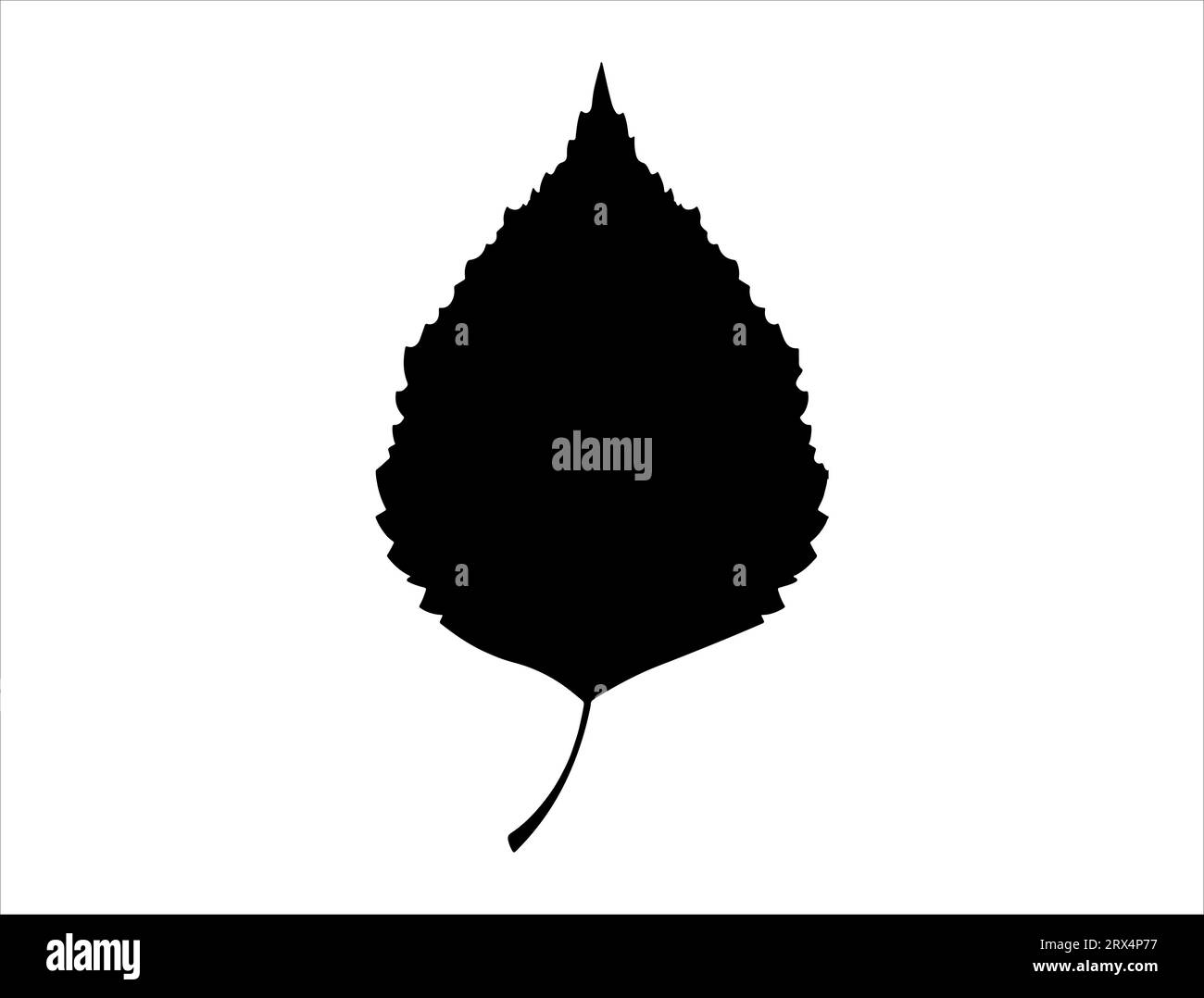 Birch leaf silhouette vector art Stock Vector Image & Art - Alamy