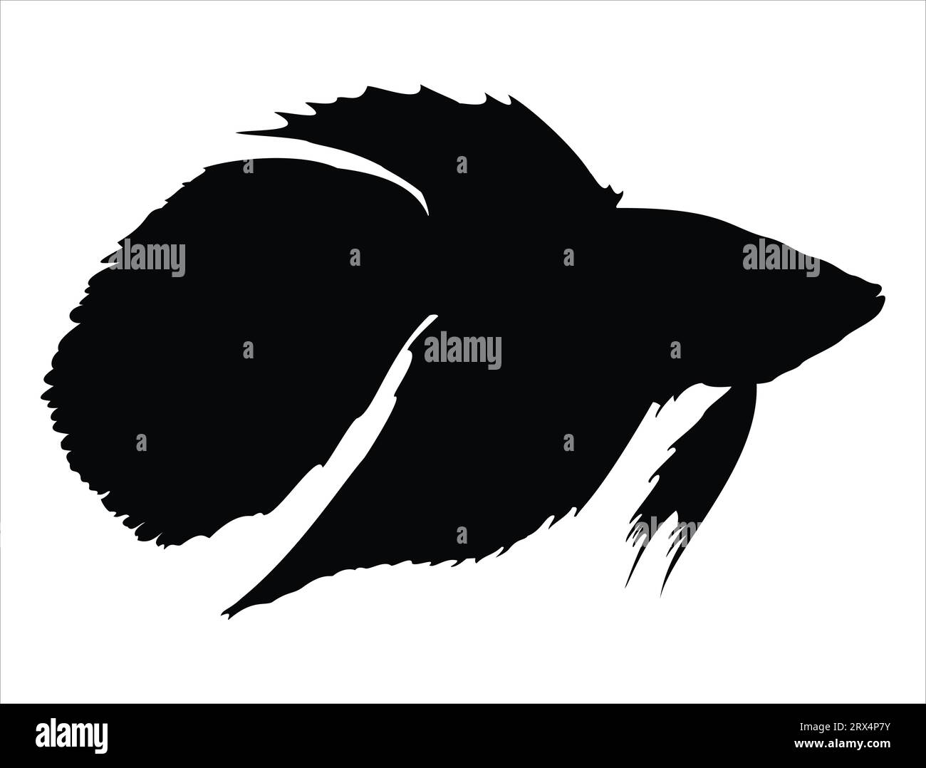 Betta fish silhouette vector art white background Stock Vector Image ...