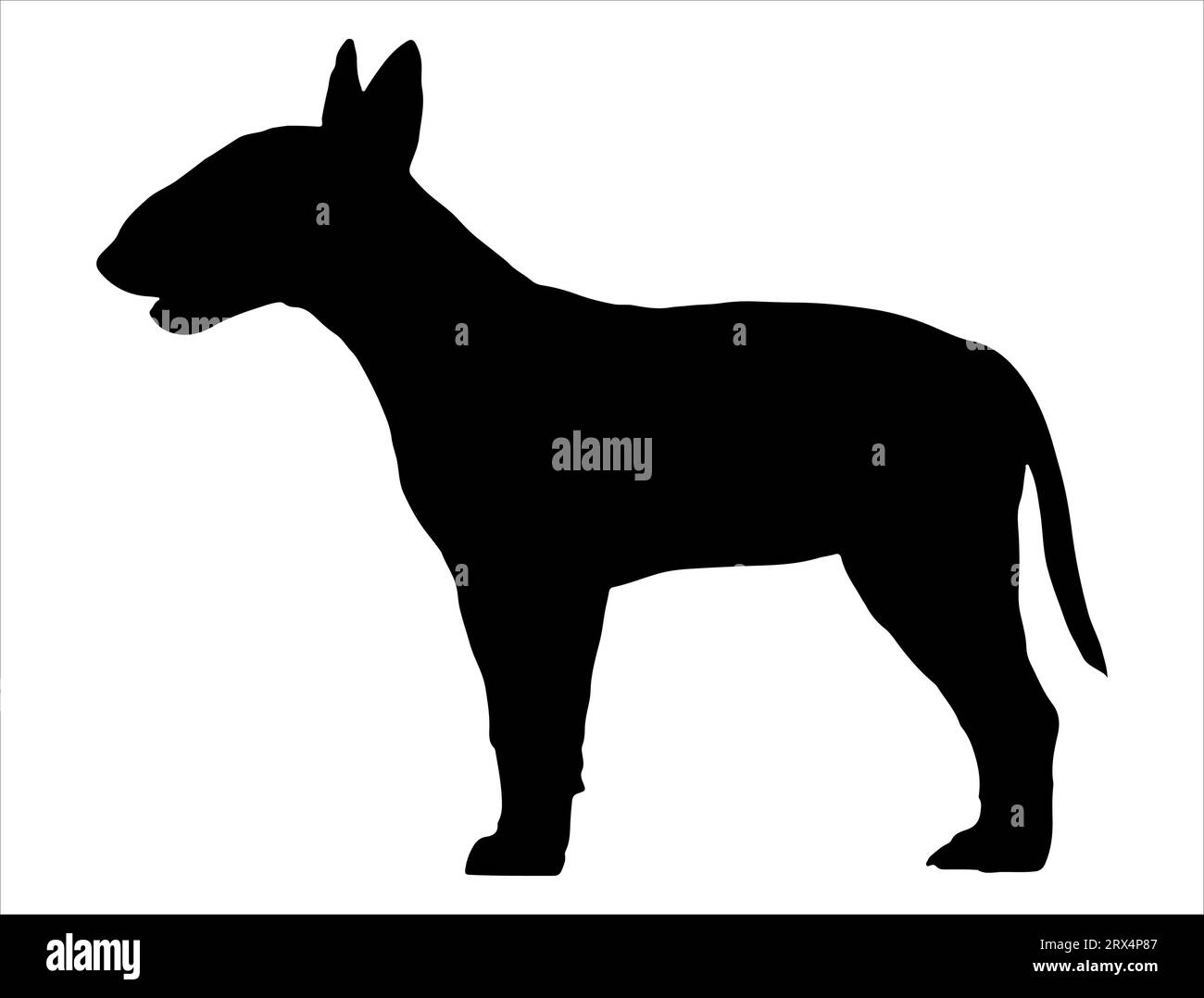 Bull terrier dog silhouette vector art Stock Vector Image & Art - Alamy