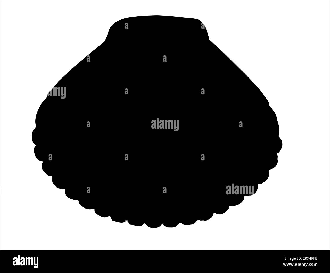 Clam shell silhouette hi-res stock photography and images - Alamy Clam shell silhouette hi-res stock photography and images - Alamy