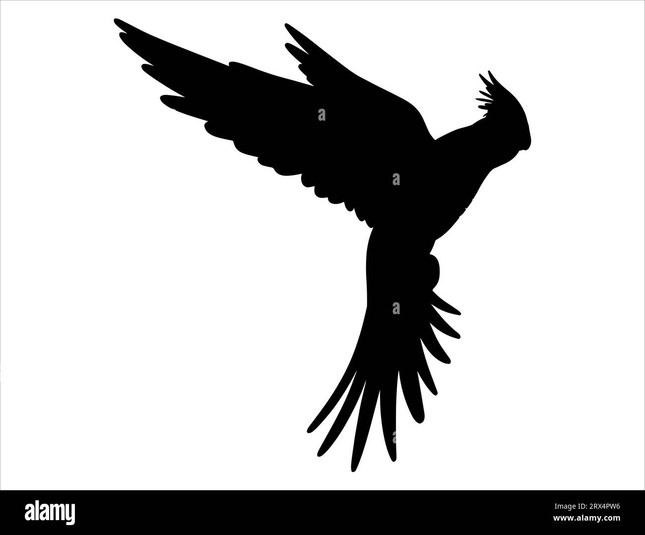 Cockatiel Silhouette Vector Art White Background Stock Vector Image And Art Alamy