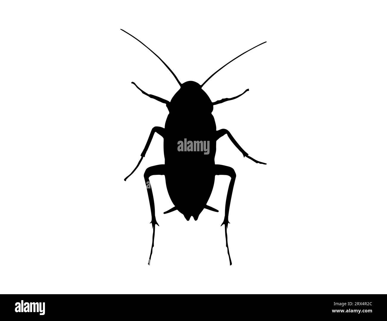 Cockroach Silhouette Vector Art White Background Stock Vector Image And Art Alamy