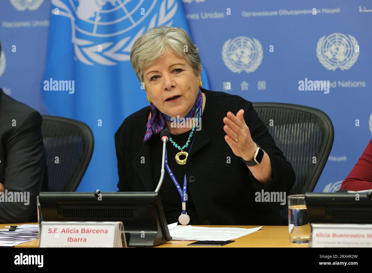 Alicia barcena ibarra hi-res stock photography and images - Alamy