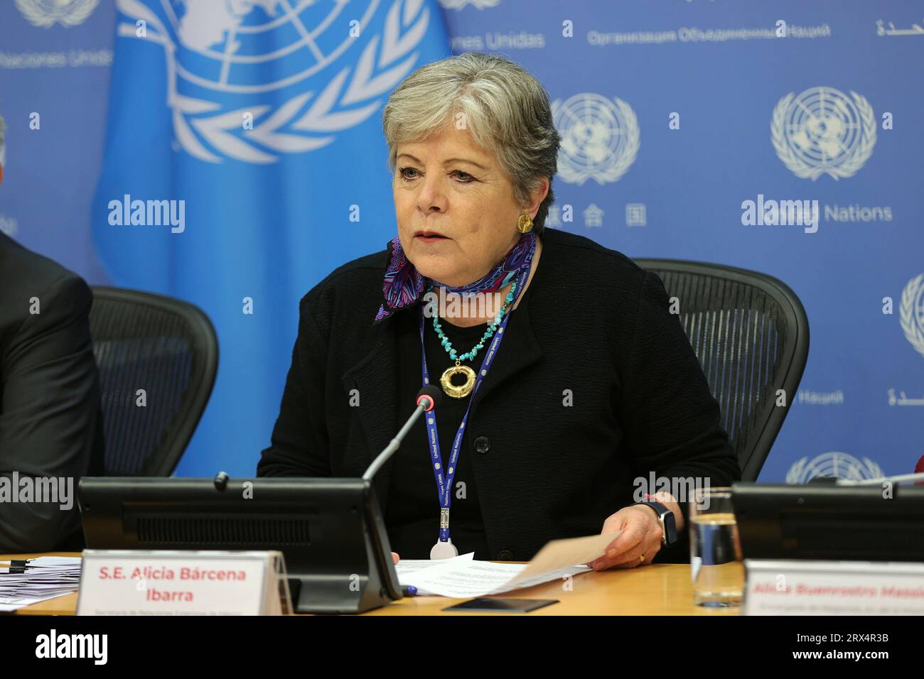 Alicia barcena ibarra hi-res stock photography and images - Alamy