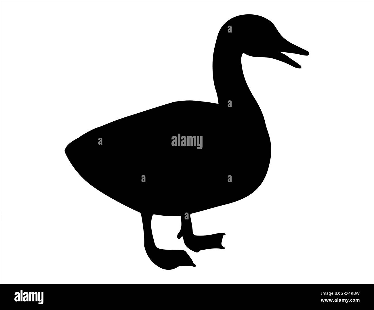 Duck Silhouette Vector Art White Background Stock Vector Image And Art
