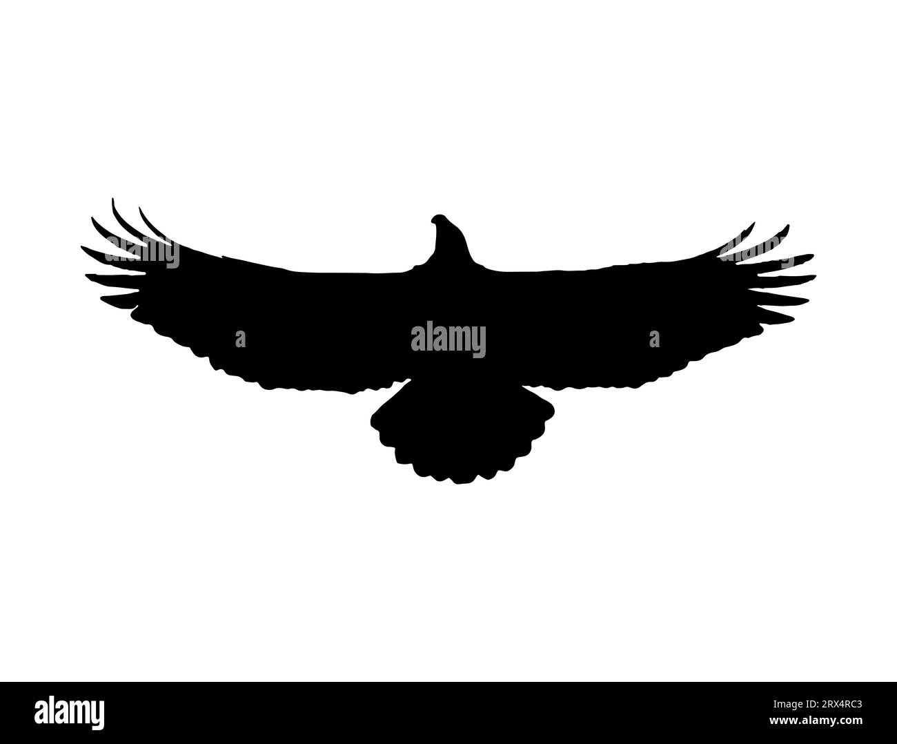 Eagle silhouette vector art white background Stock Vector Image & Art - Alamy