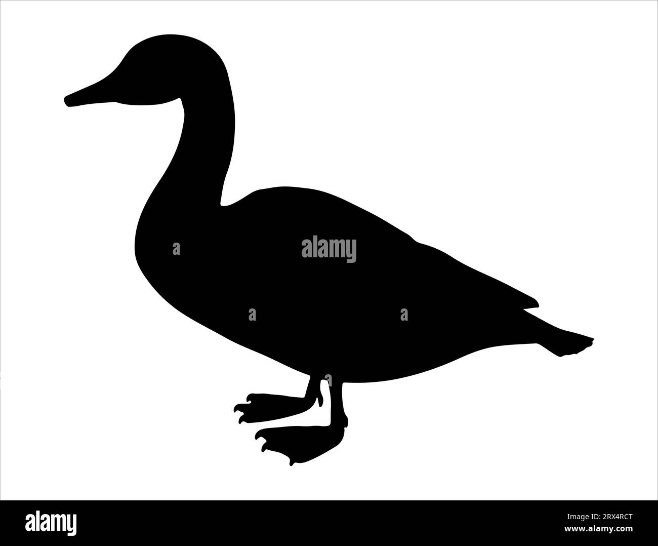 Duck Silhouette Vector Art White Background Stock Vector Image And Art