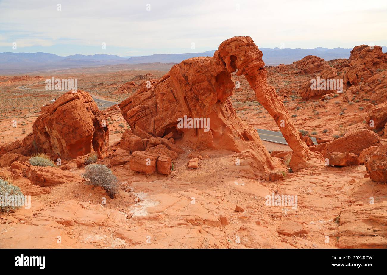 Elephant rock view hi-res stock photography and images - Alamy