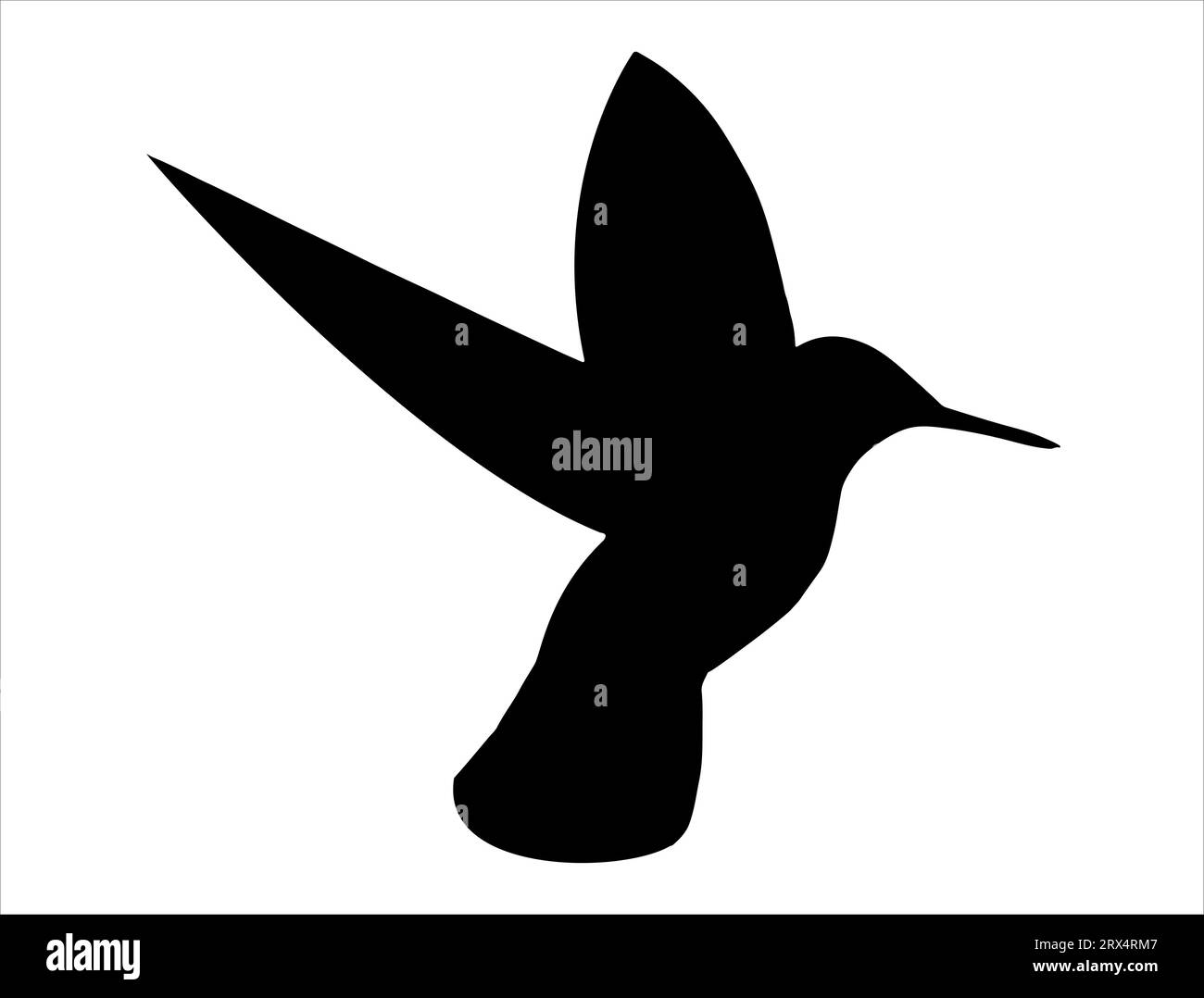 Hummingbird silhouette vector art white background Stock Vector Image ...