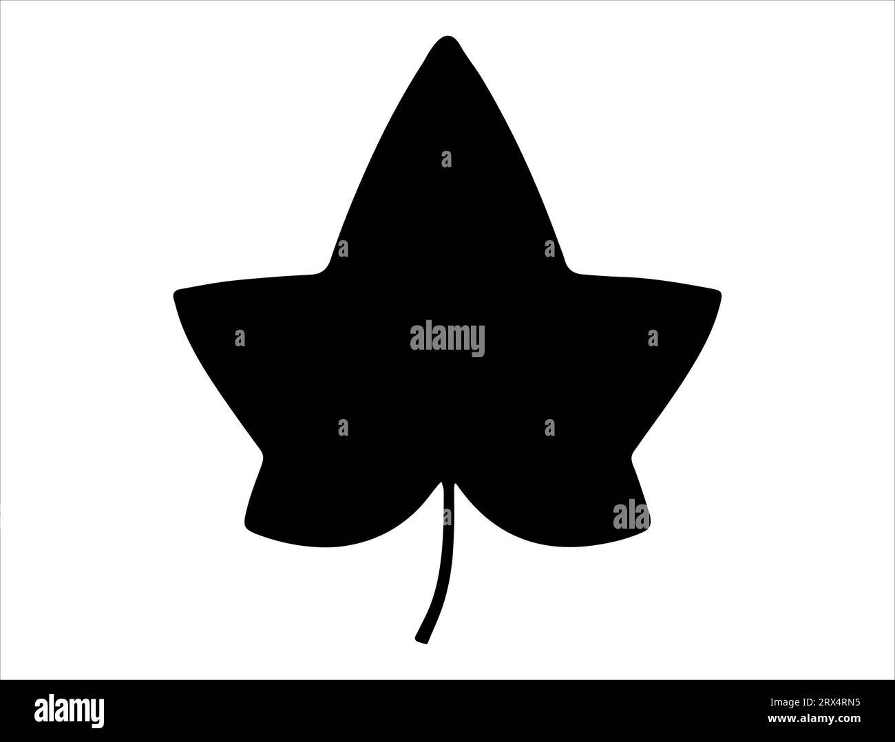 Ivy leaf silhouette vector art white background Stock Vector Image ...
