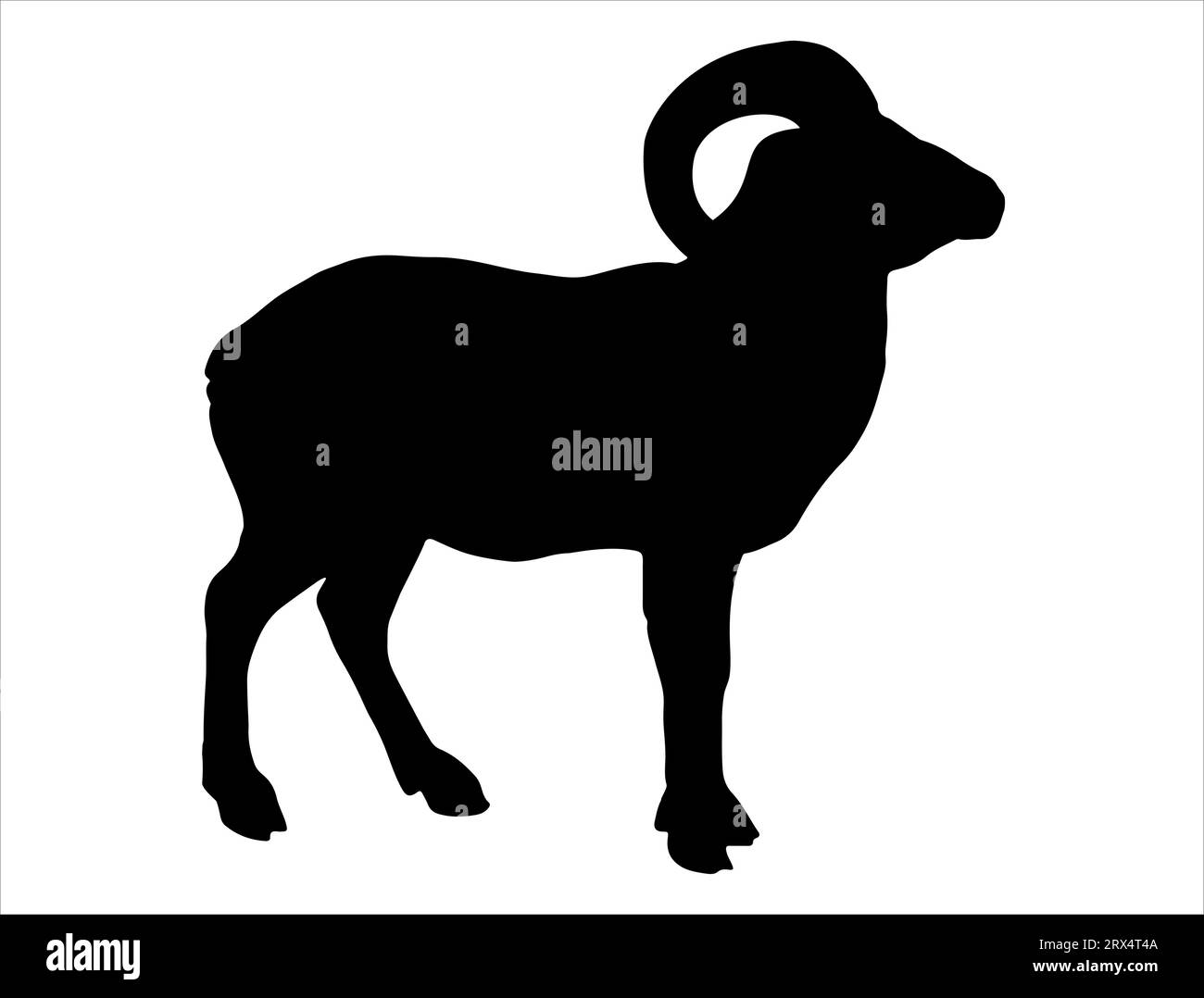 Ram silhouette vector art white background Stock Vector Image & Art - Alamy