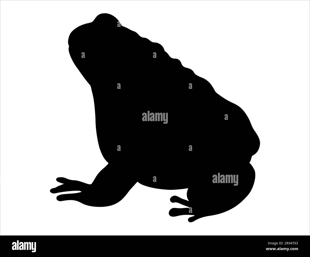 Toad silhouette vector art white background Stock Vector Image & Art ...