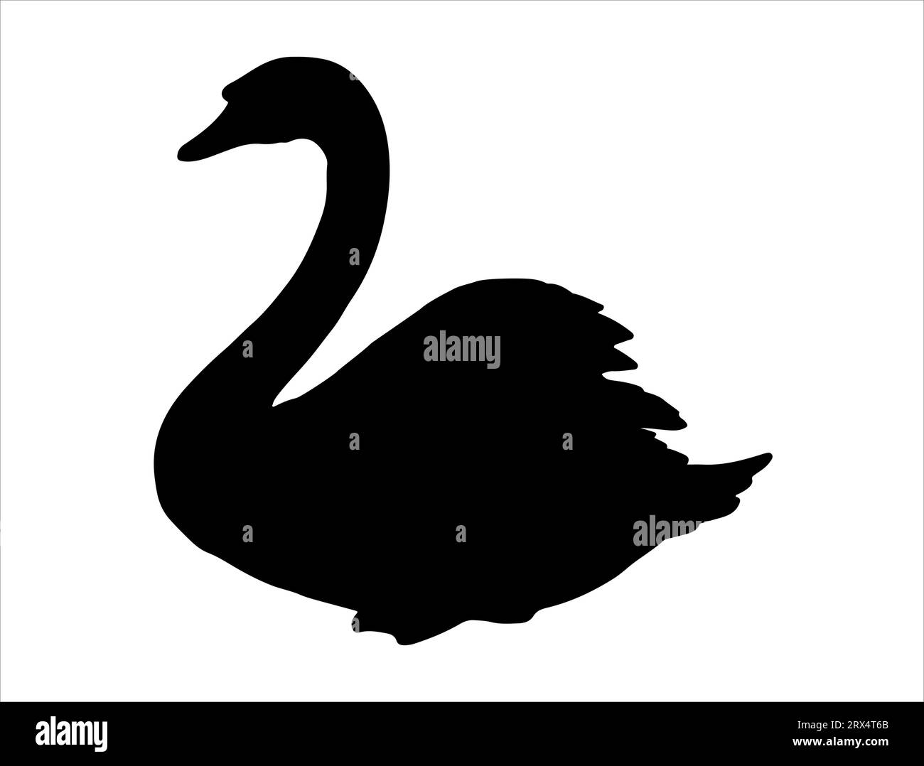 Swan Silhouette Vector Art White Background Stock Vector Image And Art