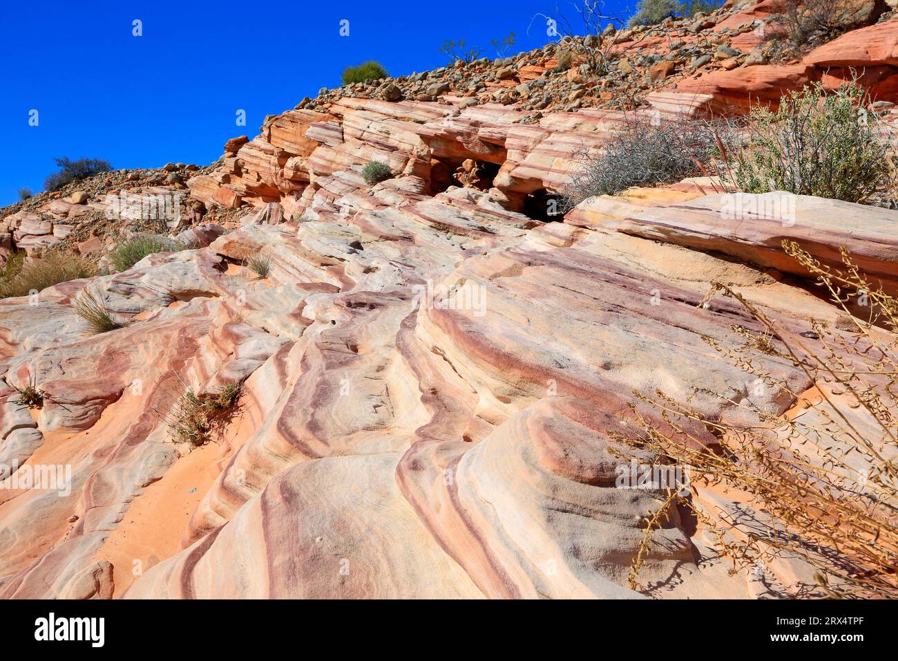 Colorful cliff - Valley of Fire State Park, Nevada Stock Photo - Alamy
