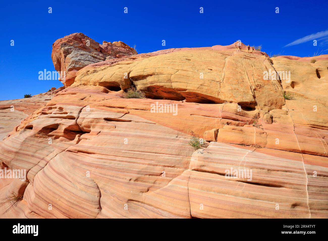 Colorful cliff, Valley of Fire State Park, Nevada Stock Photo - Alamy