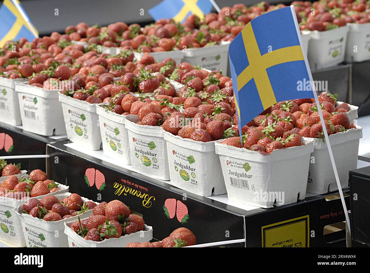 MALMO/MALMÖ/SVERIGE / SWEDEN Strawberry consumer buying strawberry ...