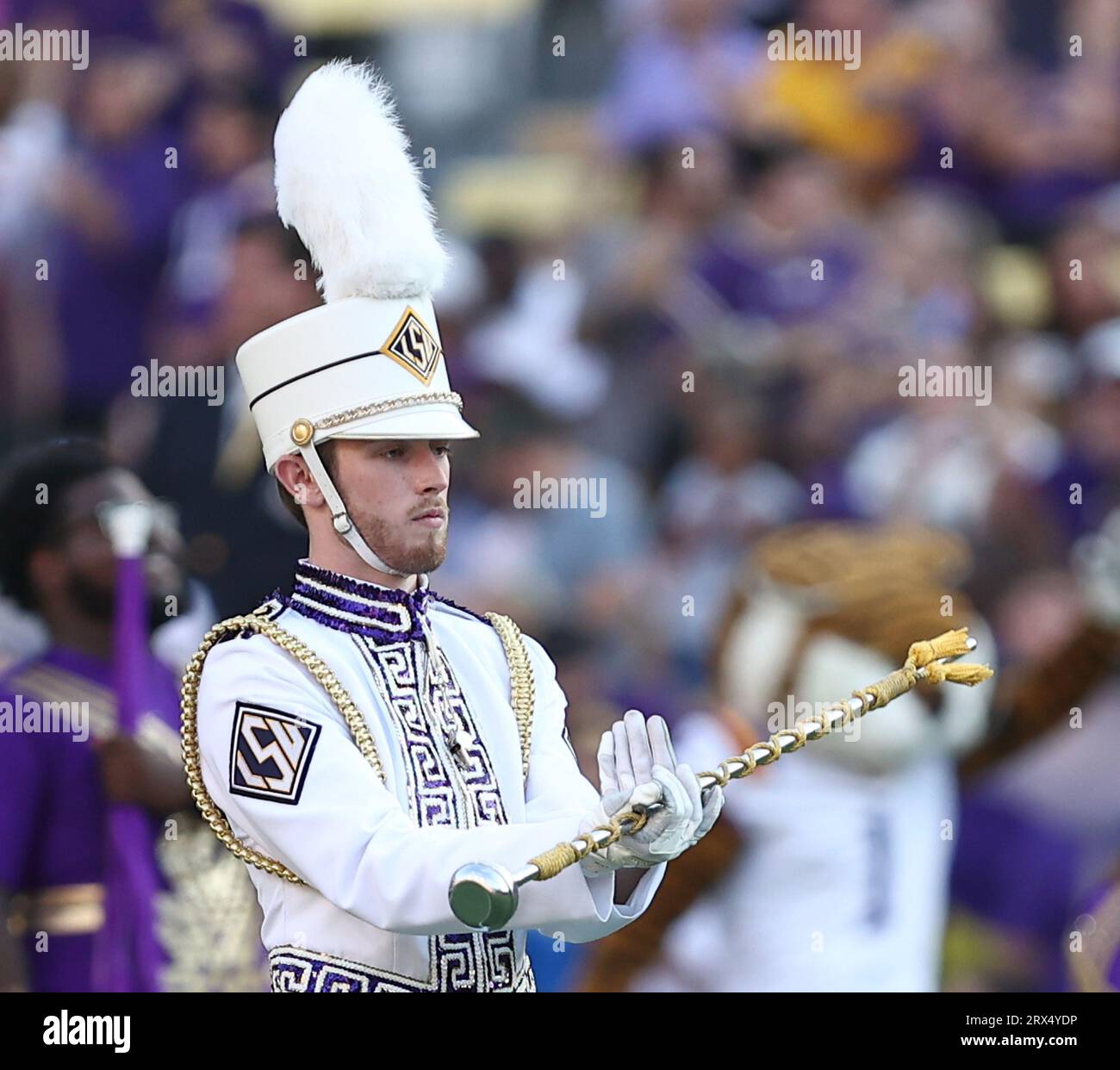 Lsu band hi-res stock photography and images - Alamy