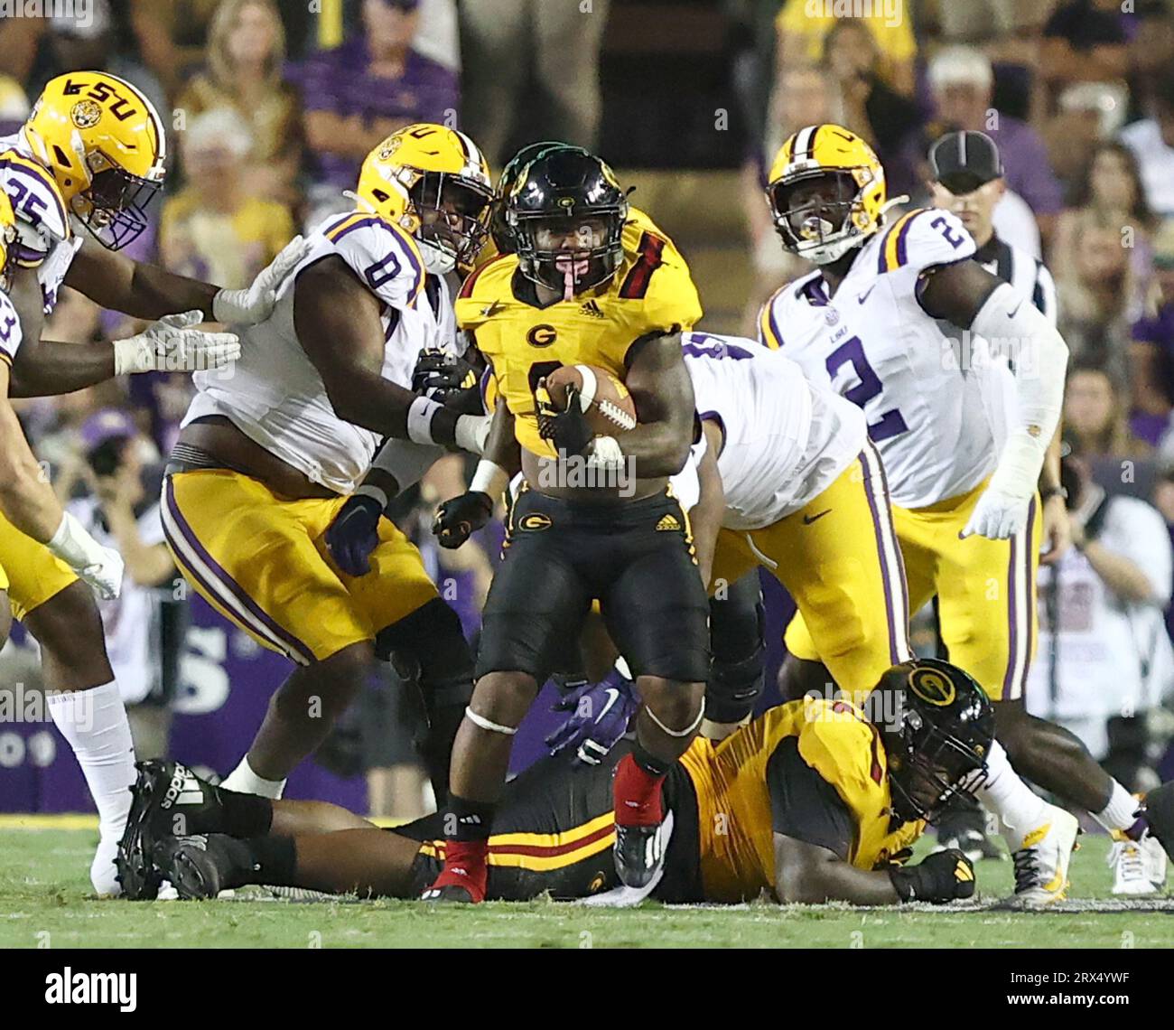 Grambling tiger hi-res stock photography and images - Alamy