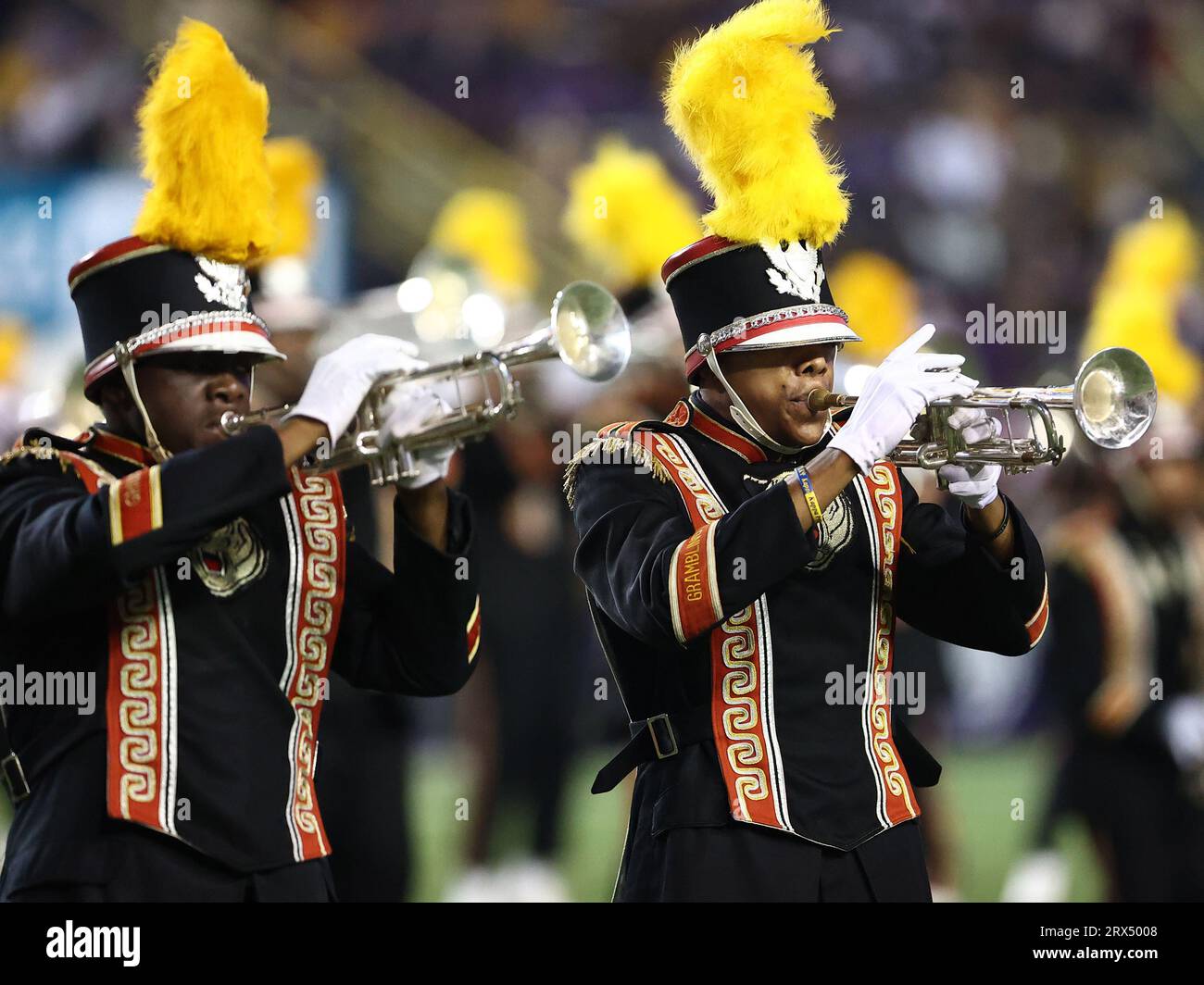 Grambling tiger hi-res stock photography and images - Alamy