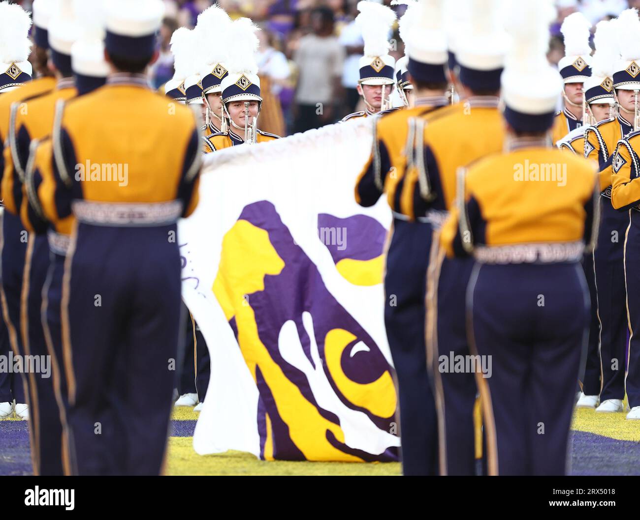 Baton Rouge, USA. 09th Sep, 2023. The LSU Tigers Marching Band lines up ...