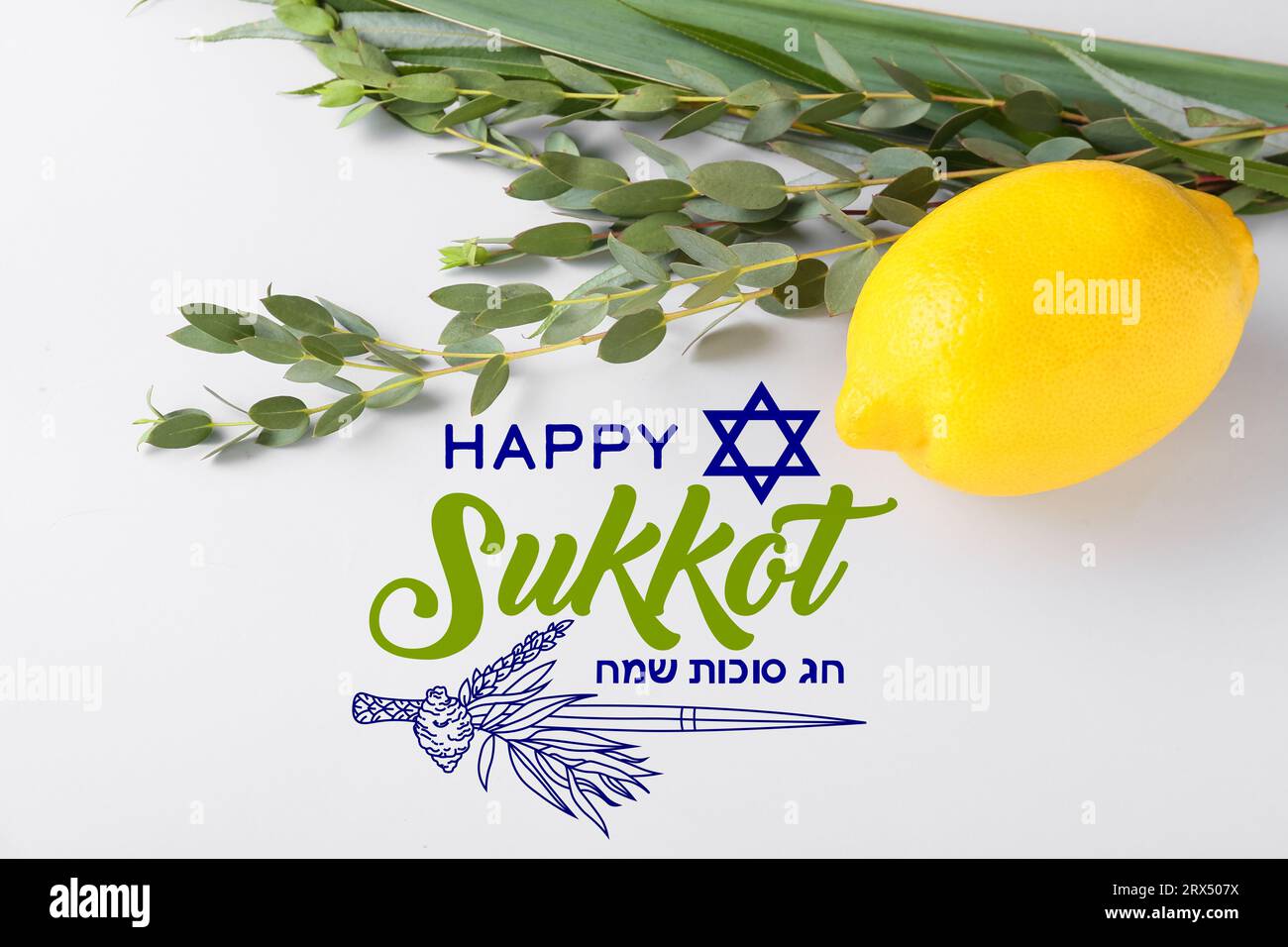 Jewish sukkot symbols holiday hi-res stock photography and images - Alamy