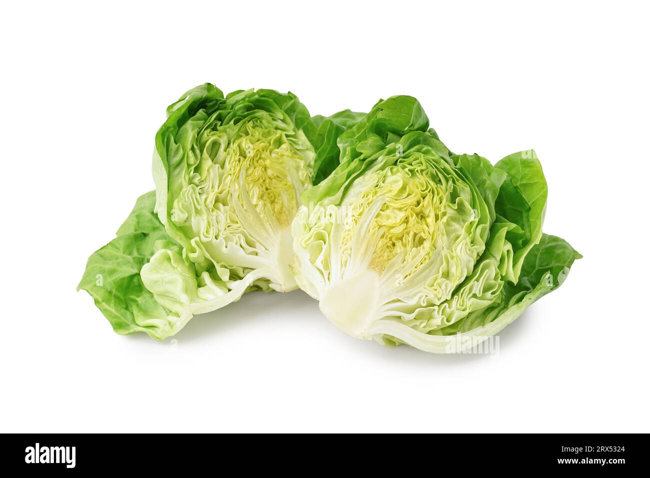 Fresh Boston lettuce on white background Stock Photo - Alamy