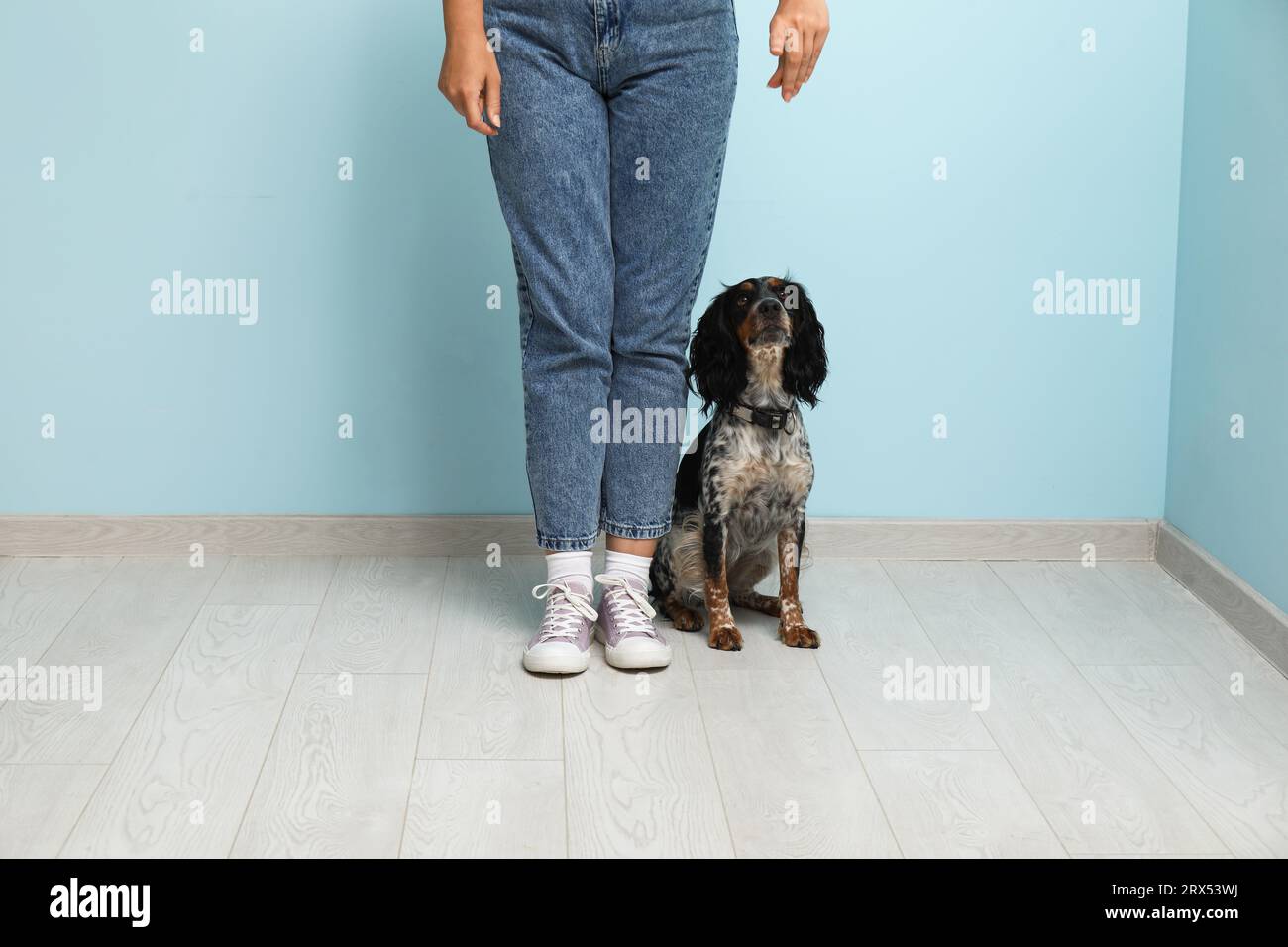 Dog handler with pet on blue background Stock Photo - Alamy
