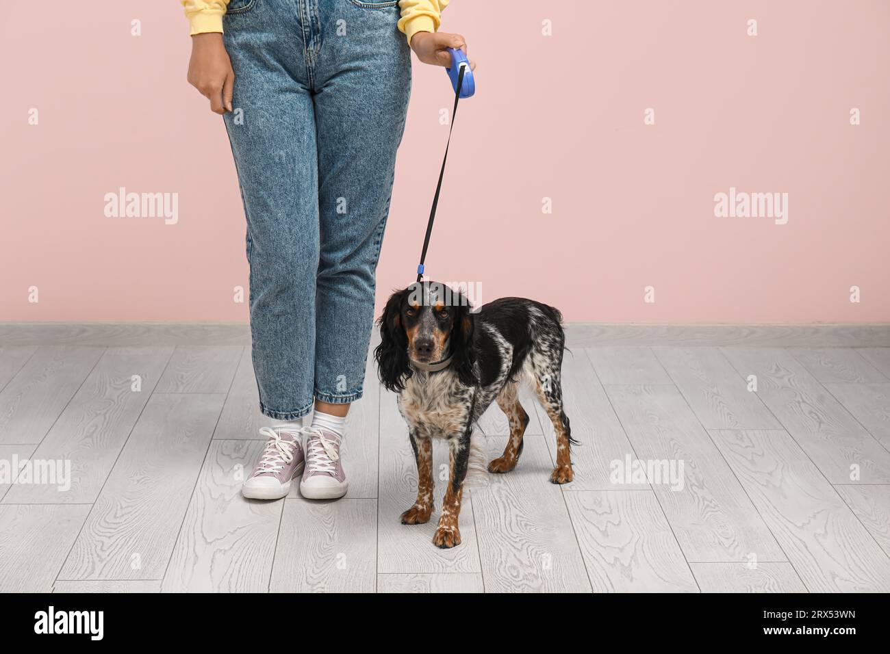 Dog handler with pet at home Stock Photo - Alamy
