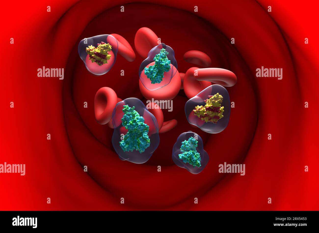 Creatine Kinase muscle type (CK-MM) and brain type (CK-BB) enzyme in ...
