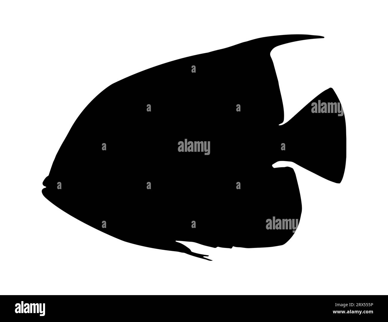 Fish silhouette vector art white background Stock Vector Image & Art ...