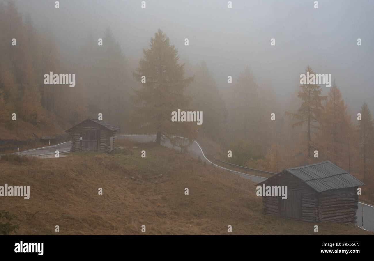 Autumn landscape in the forest. wooden log cabin at the valley. Yellow ...