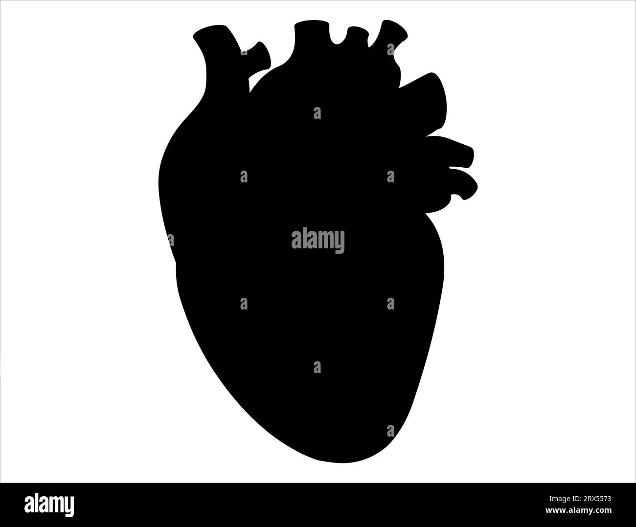 Human heart silhouette vector art white background Stock Vector Image ...