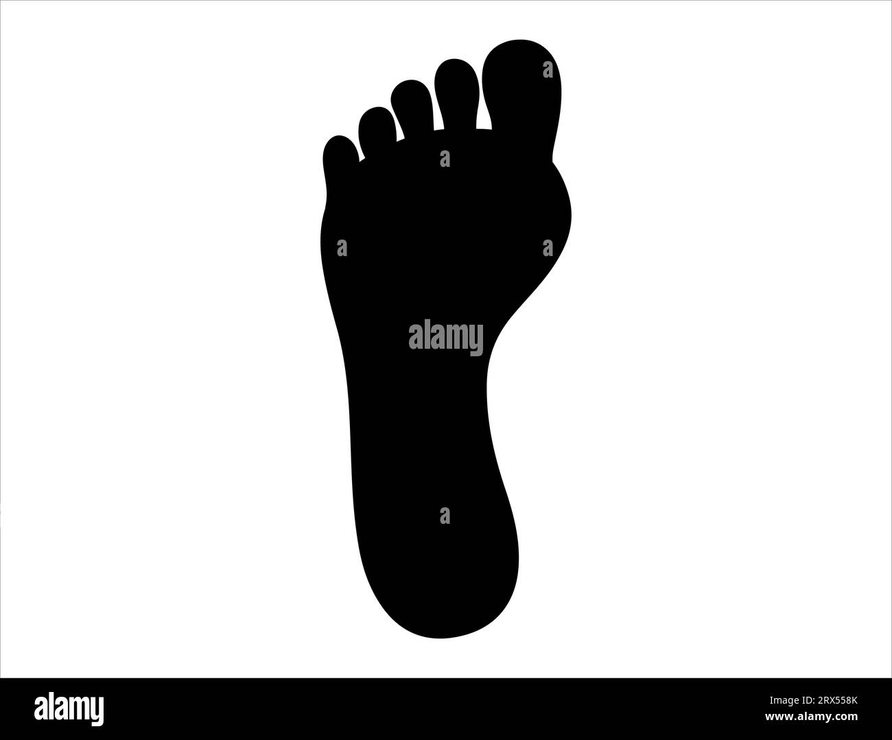 Foot Silhouette Vector Art White Background Stock Vector Image And Art
